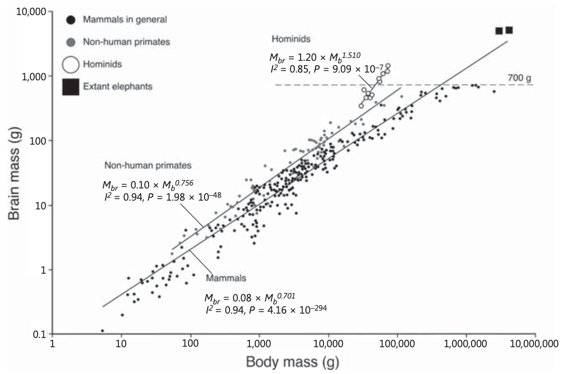 Isolation, Perception, and Communication | isocom